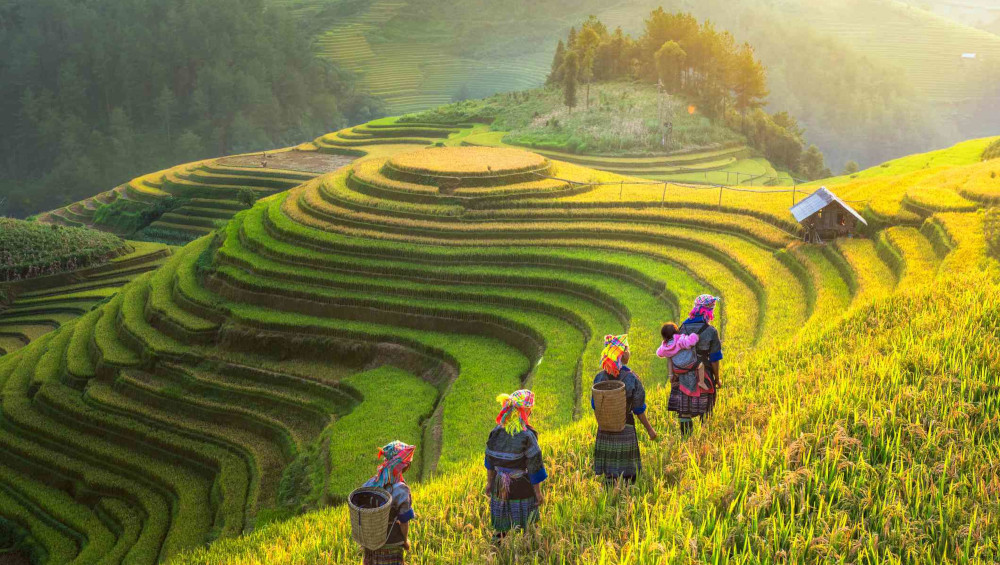 Découverte du Vietnam